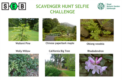 Scavenger Hunt Selfie Challenge | The Society for Experimental Biology ...