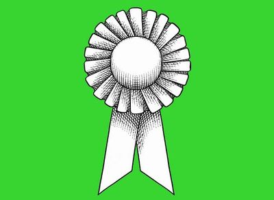 SEB Annual Conference Florence 2026 | The Society for Experimental ...