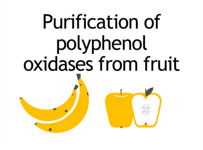 Purification of polyphenol oxidases from fruit | The Society for ...