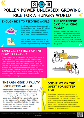 Pollen Power Unleased! Growing Rice for a Hungry World | The Society ...