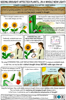 Seeing Drought-Affected Plants..In a Whole New Light! | The Society for ...