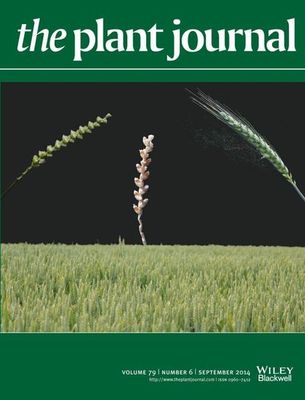 The Plant Journal | The Society for Experimental Biology (SEB)